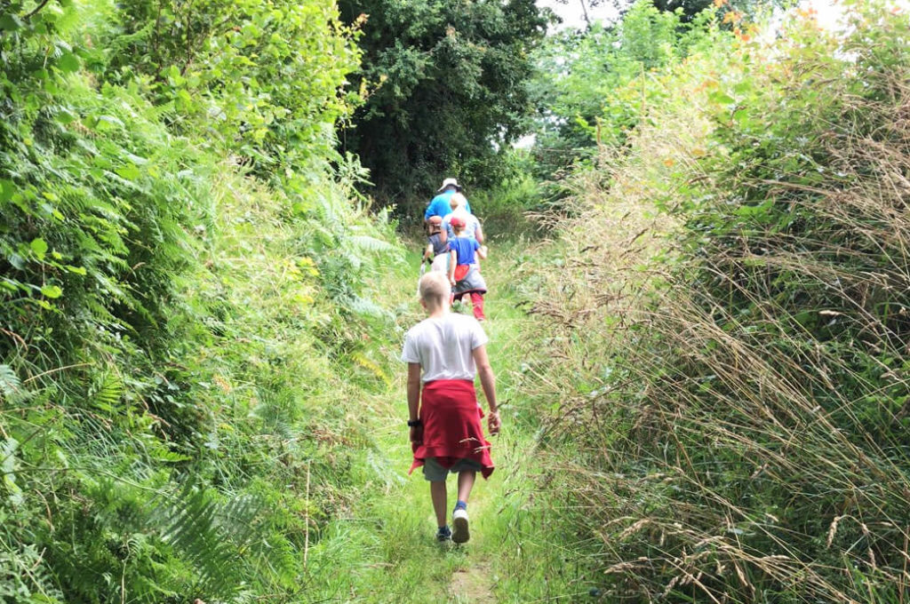 Les formations - Institut Simonne Ramain